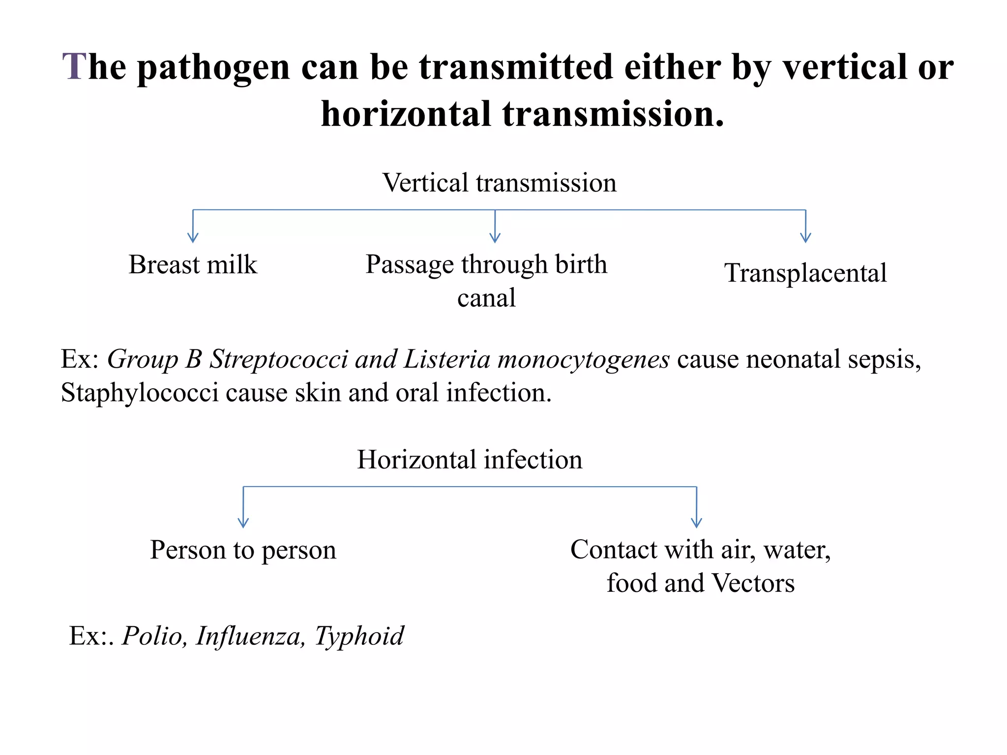 Infection and bacterial virulence factors | PPTX