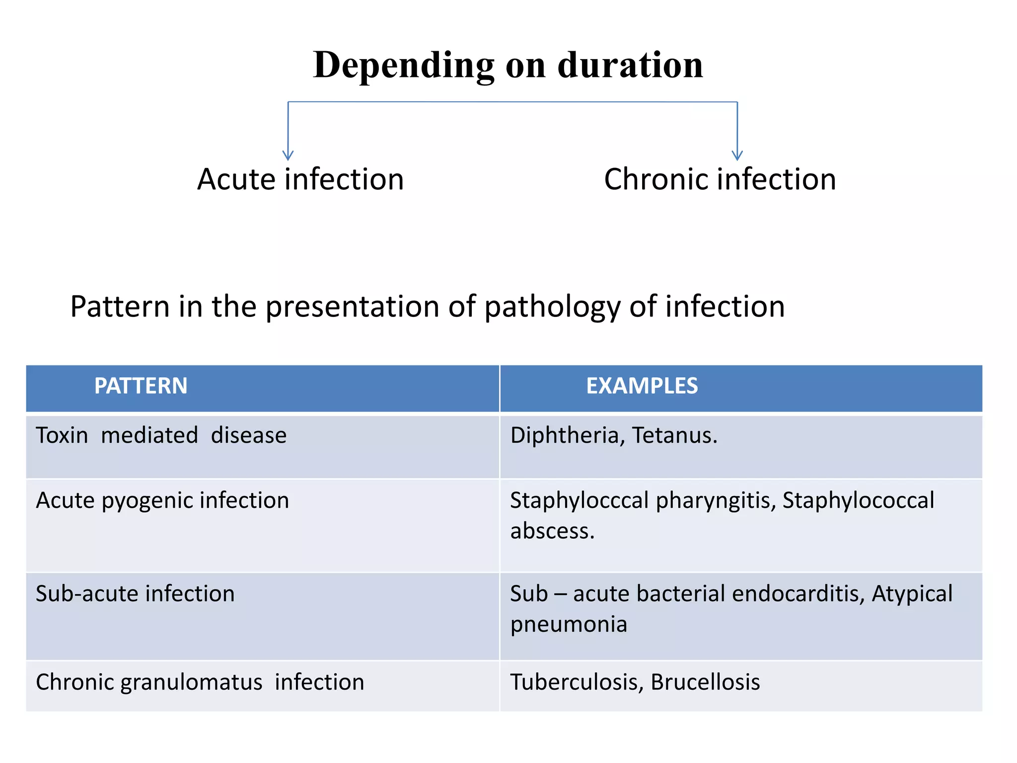 Infection and bacterial virulence factors | PPTX