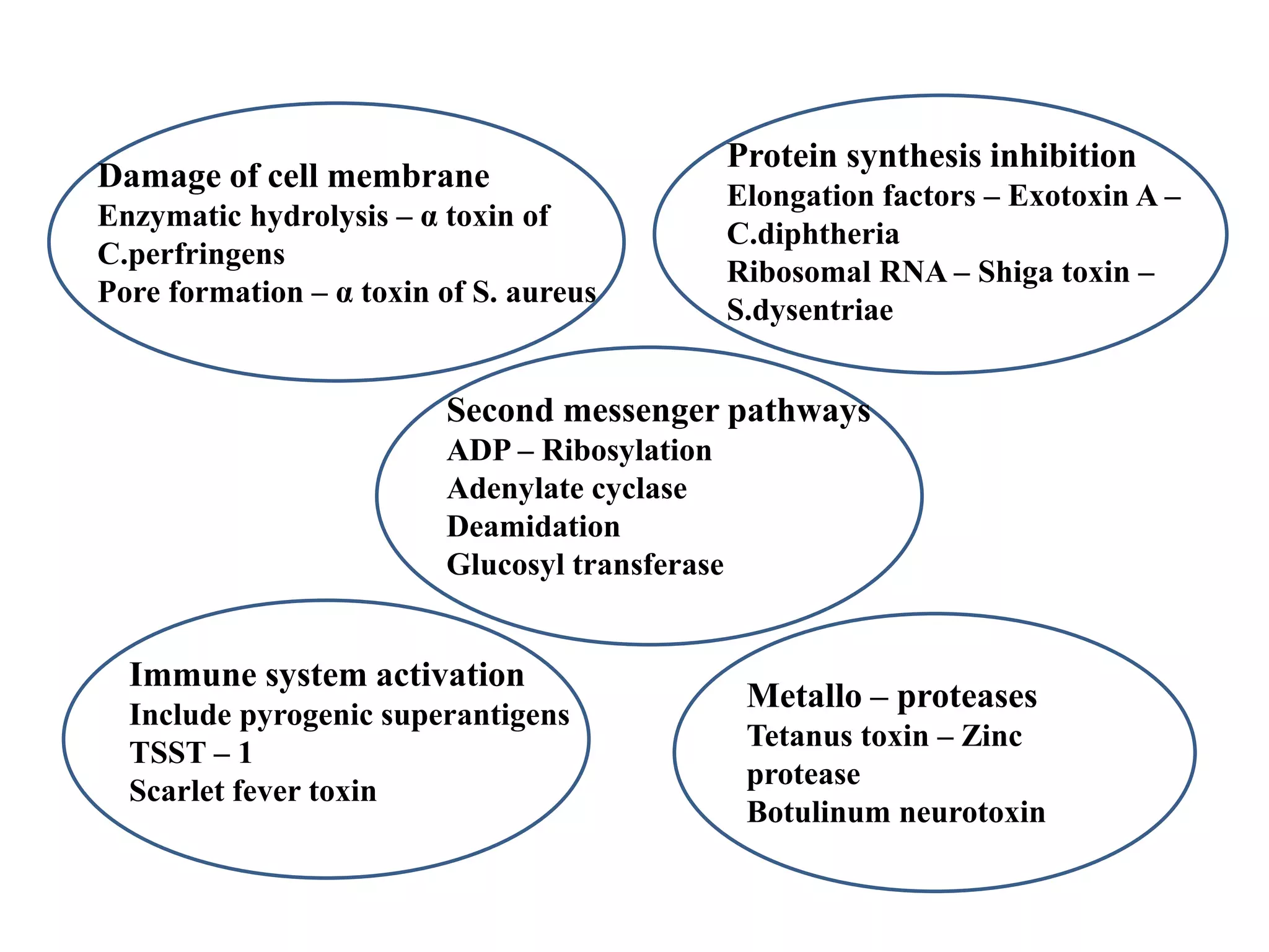 Infection and bacterial virulence factors | PPTX