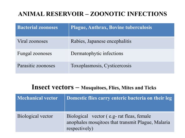 Infection and bacterial virulence factors | PPTX