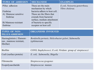 Infection and bacterial virulence factors | PPTX