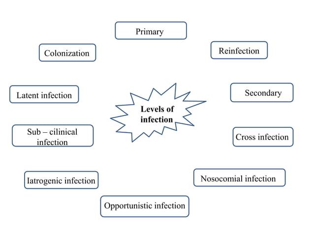 Infection and bacterial virulence factors | PPTX