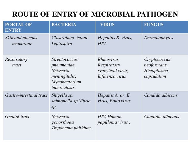 Infection and bacterial virulence factors