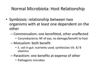 12 - Infection and Disease | PPTX