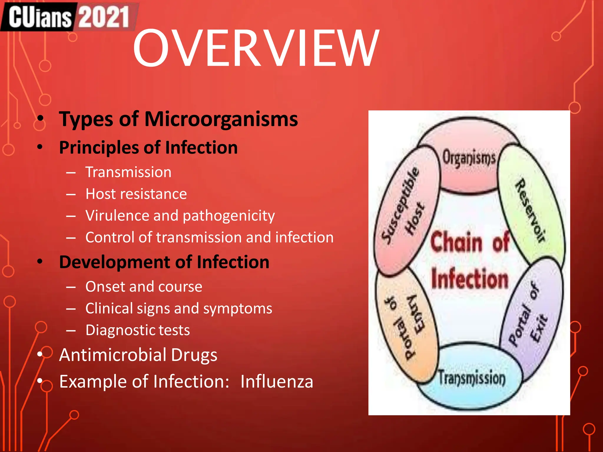 infection and inflammation. adult health | PPTX