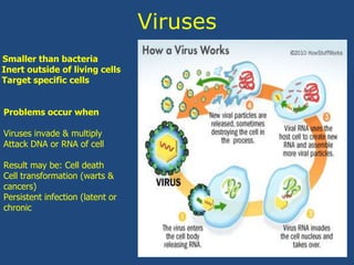 Infection control | PPT