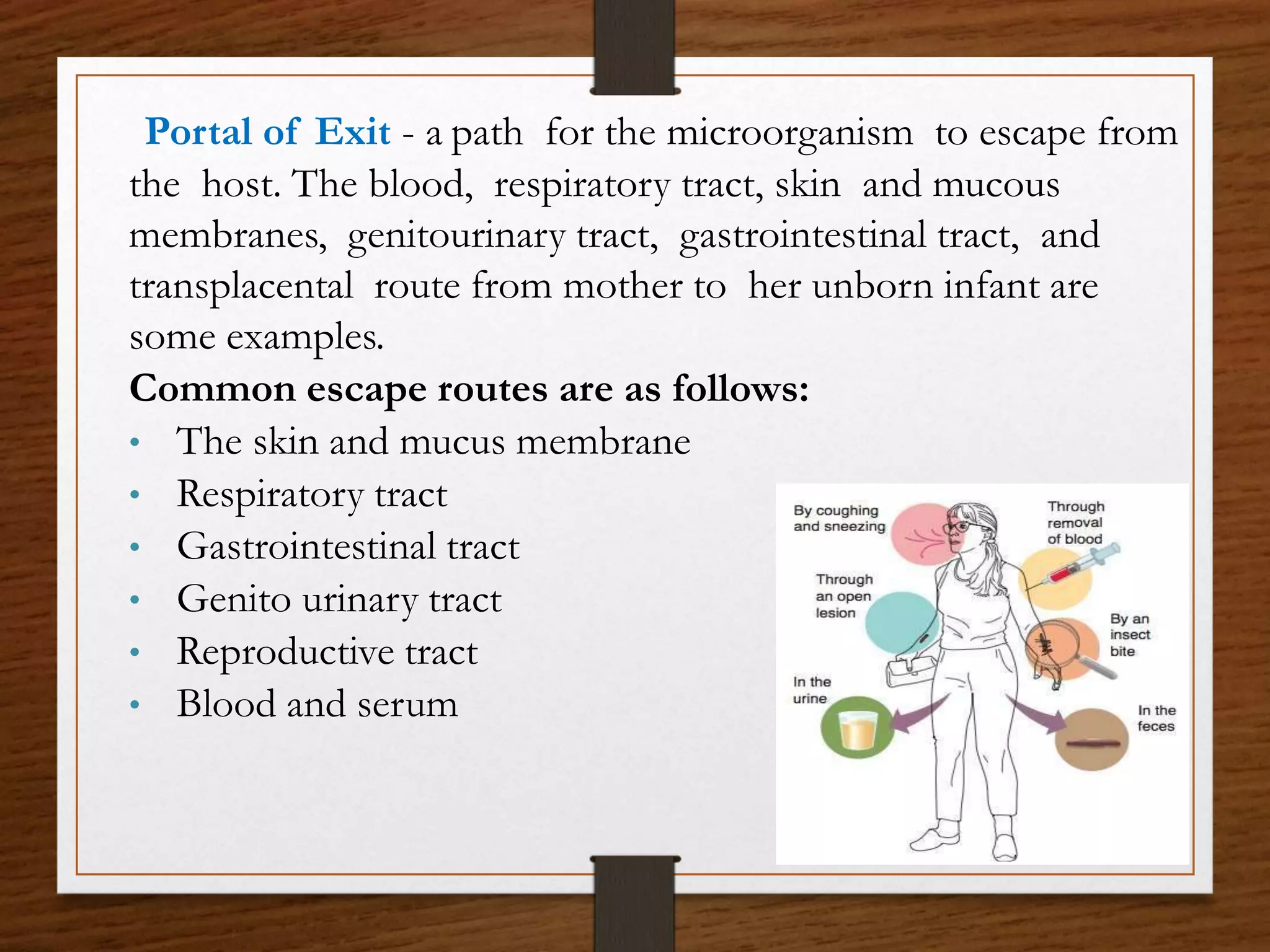 Infection control in clinical settings | PPTX