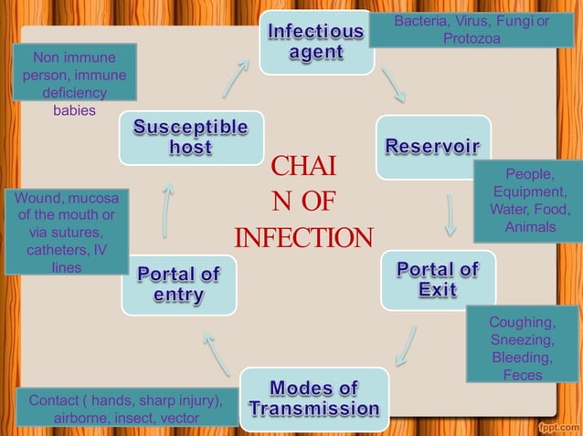 Infection Control. Bsc nursing ppt for students for nursing foundation ...