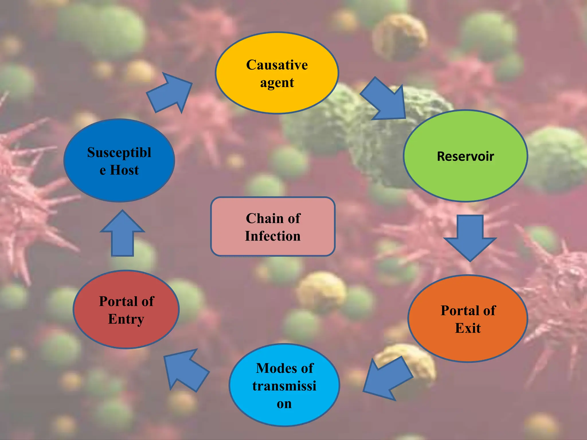 INFECTION CONTROL[1] [Read-Only].pptx