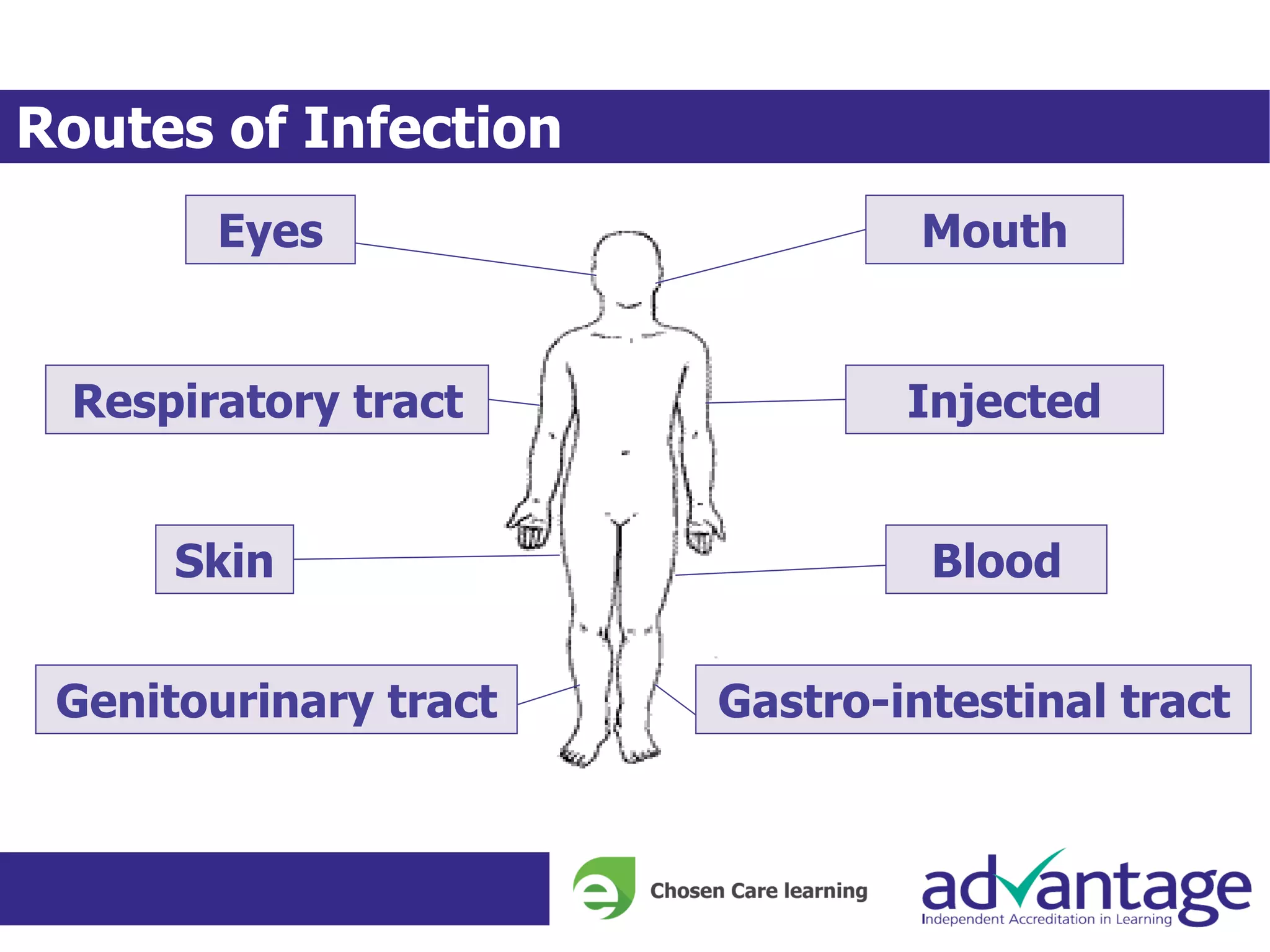 Infection control and prevention | PDF