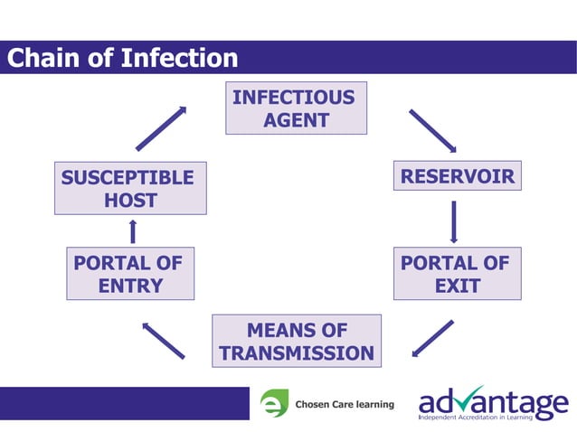 Infection control and prevention | PDF | Infectious Diseases | Diseases ...