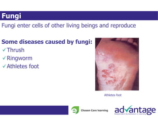 Infection control and prevention | PDF | Infectious Diseases | Diseases ...