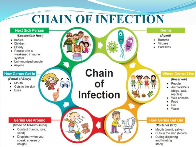 Infection control and safety measures | PPTX