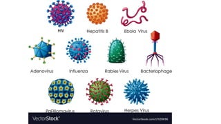 Infection control concepts | PPT