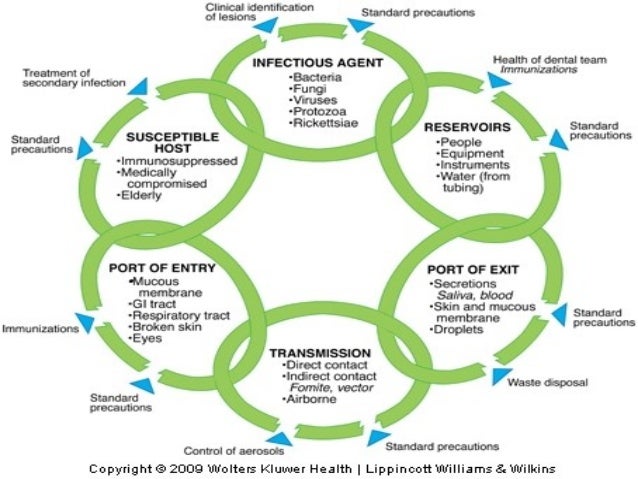Chain Of Transmission Of Infectious Disease