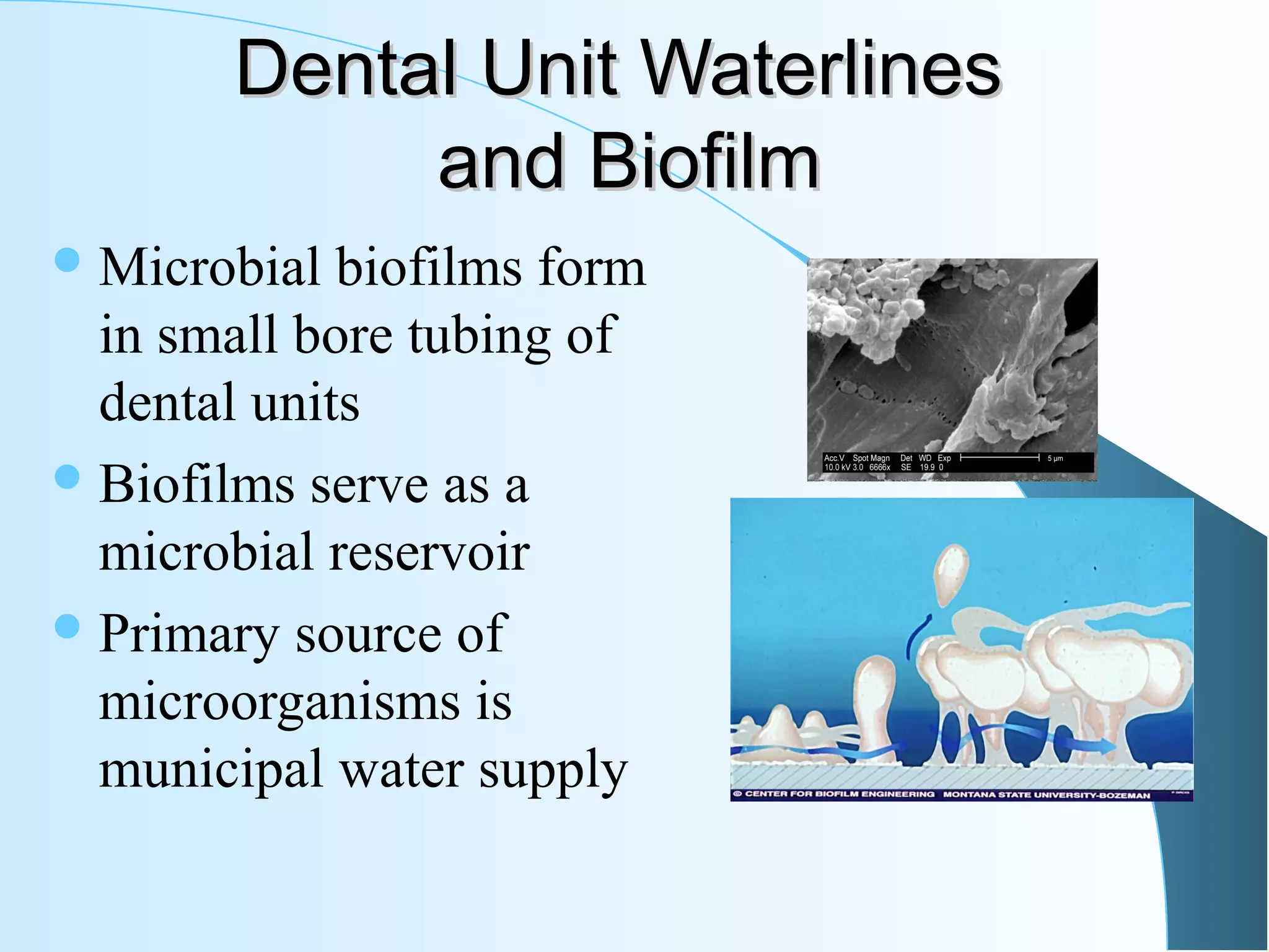Infection control in dental clinic and management of sterile and ...