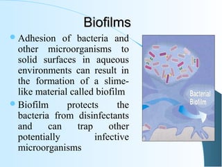 Infection control in dental clinic and management of sterile and ...