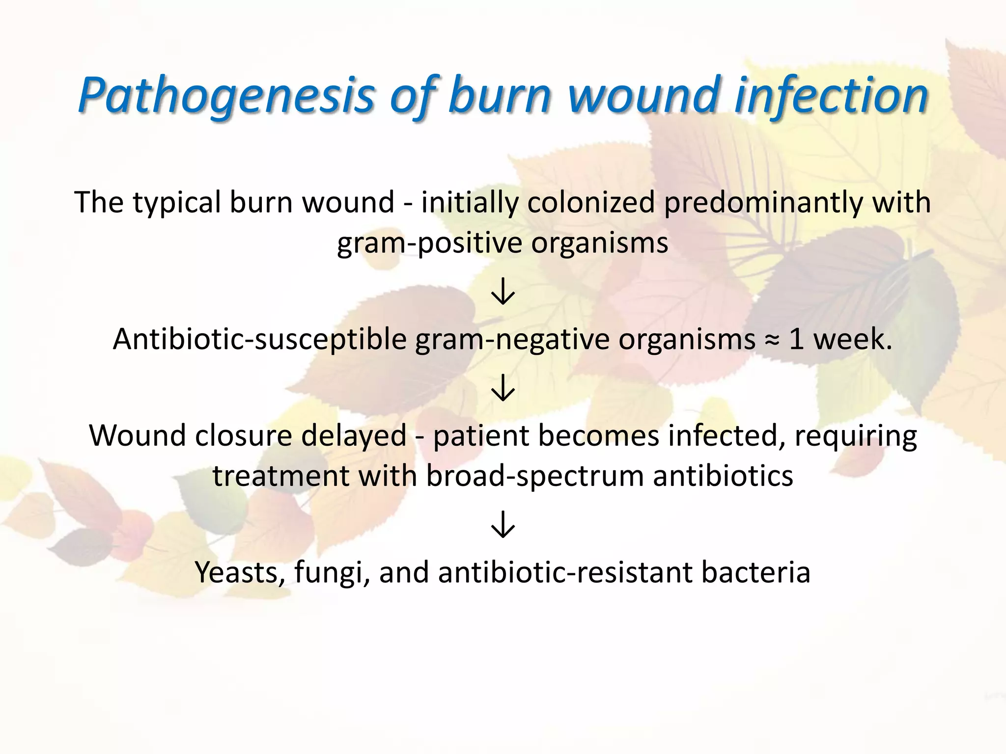 Infection control in burn icu | PPTX