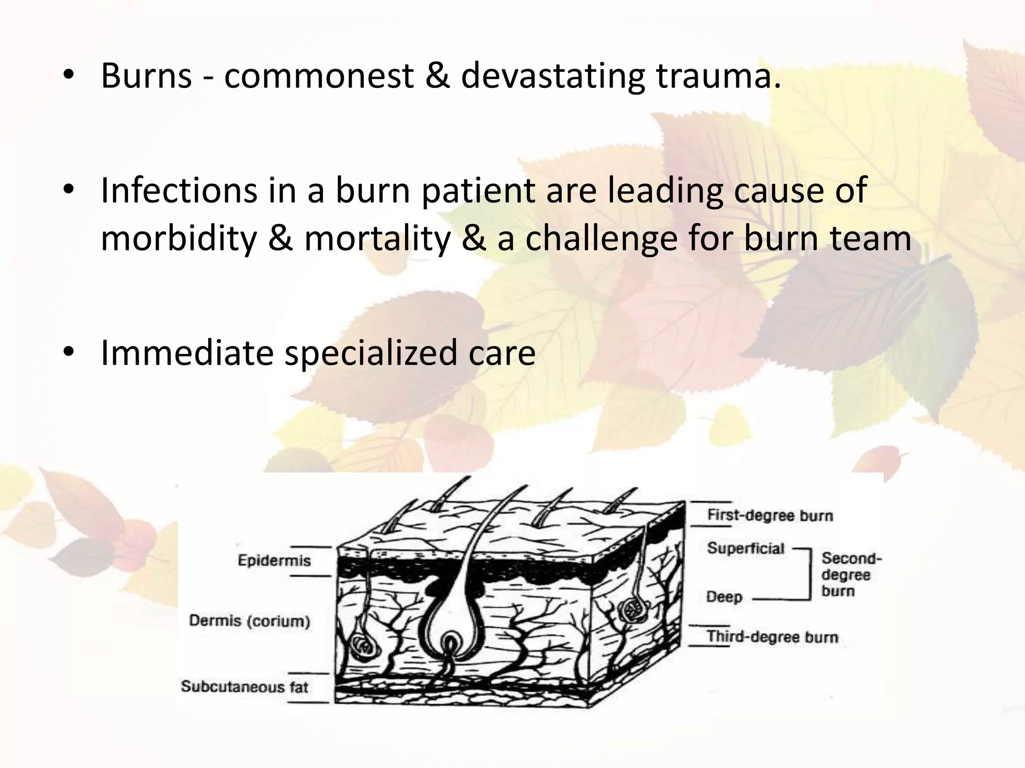 Infection control in burn icu | PPTX