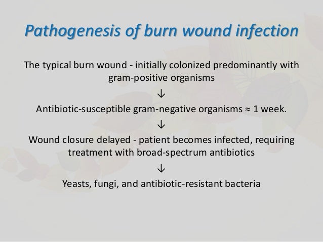 Infection control in burn icu