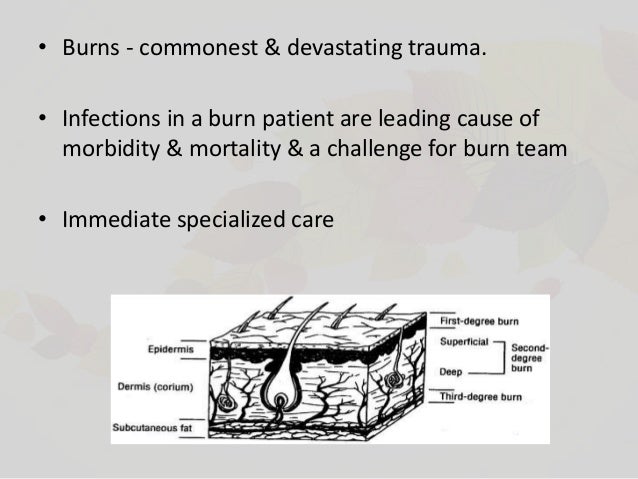 Infection control in burn icu