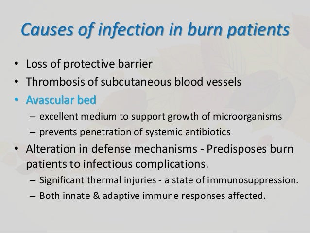 Infection control in burn icu