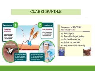 Infection control in critical care units | PPTX