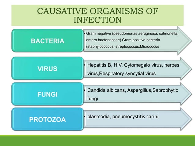 Infection control in critical care units | PPTX | Infectious Diseases | Diseases and Conditions