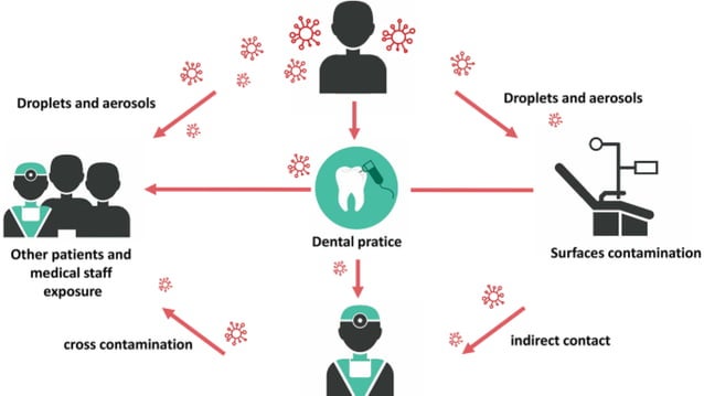 Infection control in dentistry-lec.pdf | Dental Health | Diseases and ...