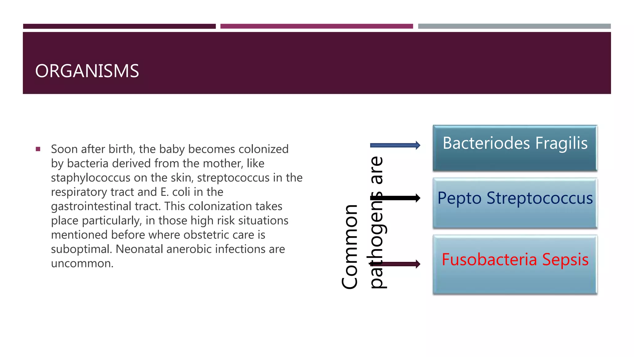 Infection control in newborns | PPTX