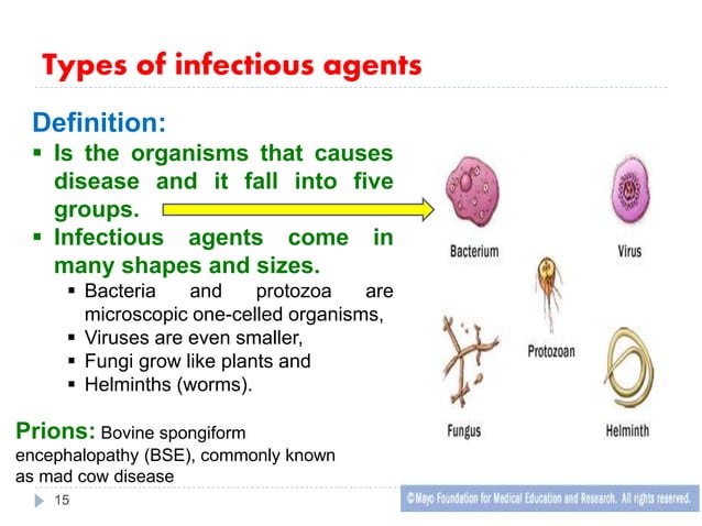 Introduction to infection control | PPSX