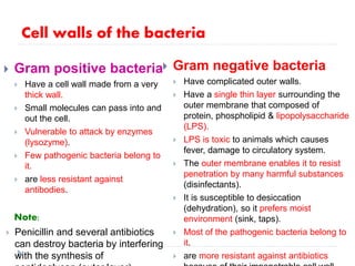 Introduction to infection control | PPSX