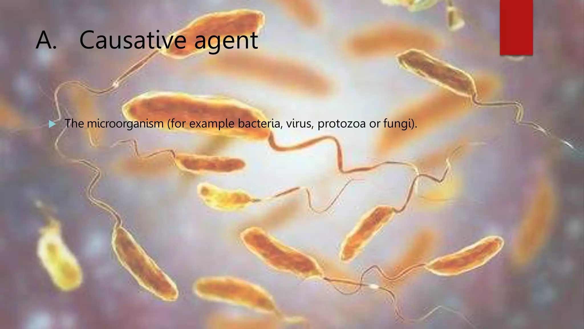 Infection Control & Prevention | PPTX