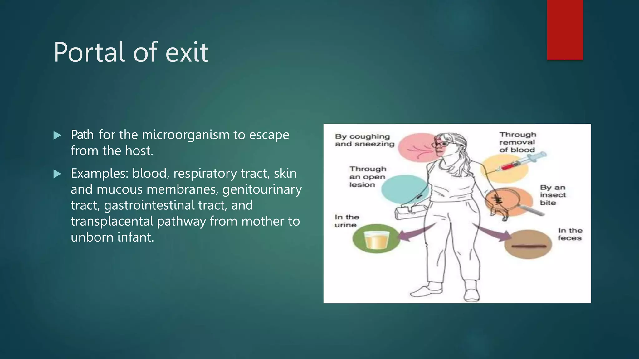 Infection Control & Prevention | PPTX