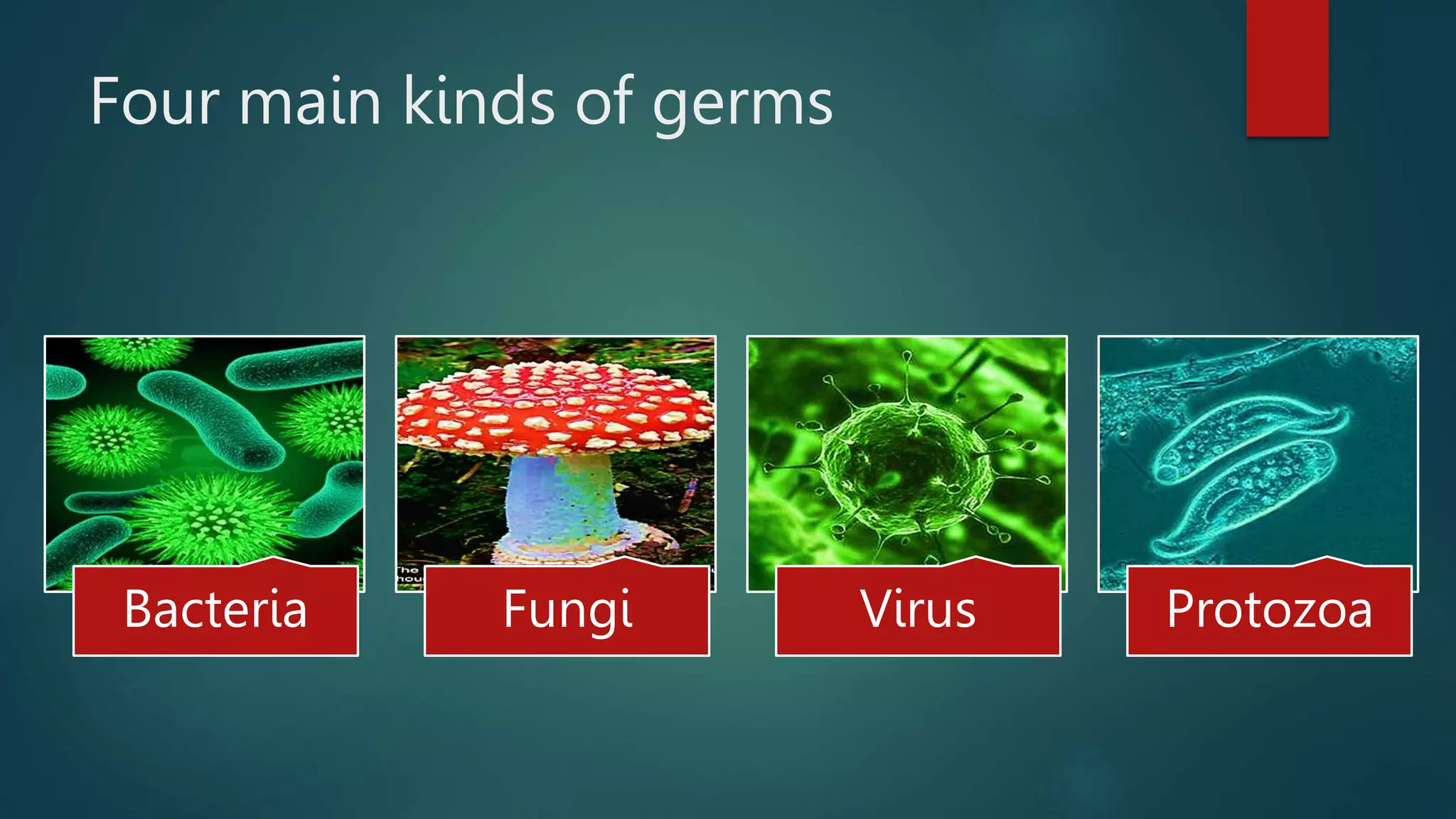 Infection Control & Prevention | PPTX