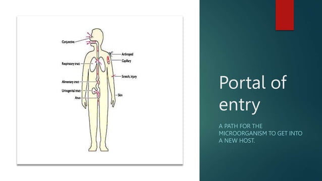 Infection Control & Prevention | PPTX