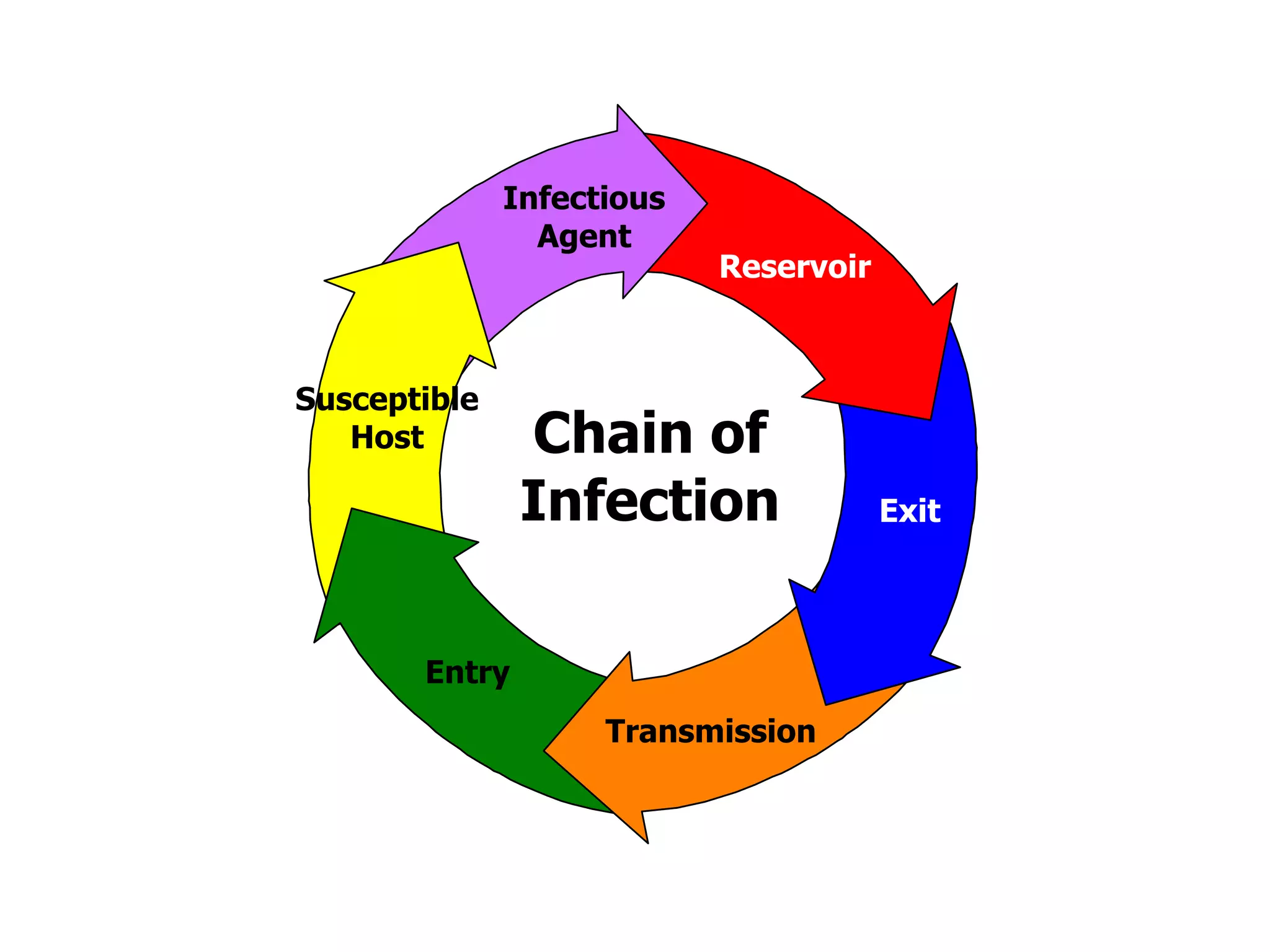 infection cycle.ppt