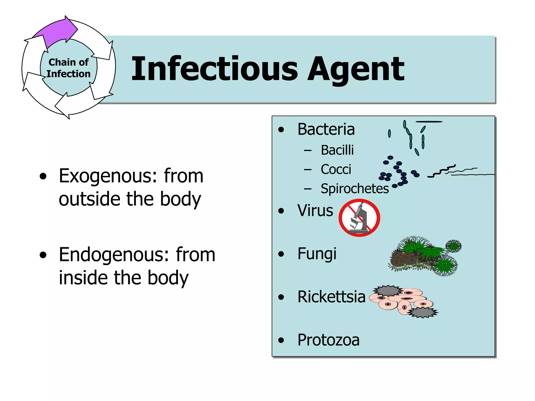 infection cycle.ppt