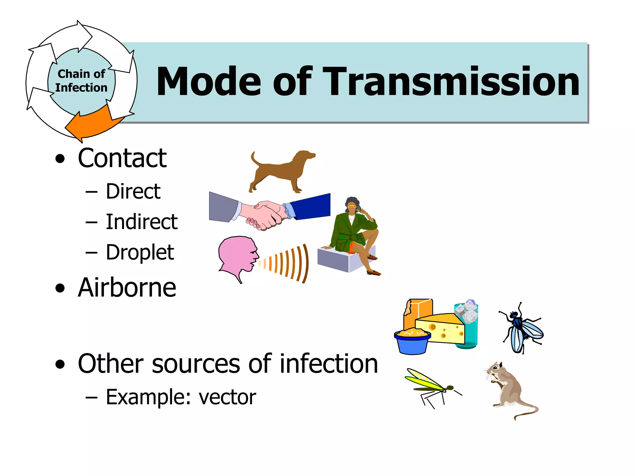 infection cycle.ppt