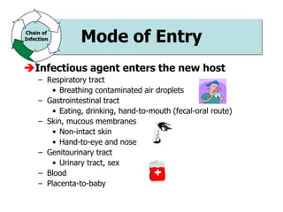 infection cycle.ppt