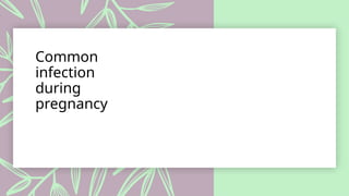 Infection during pregnancy,Perinatal infection accounts for 2-3% of ...