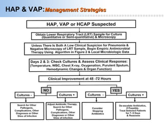 Infection in ICU | PPT