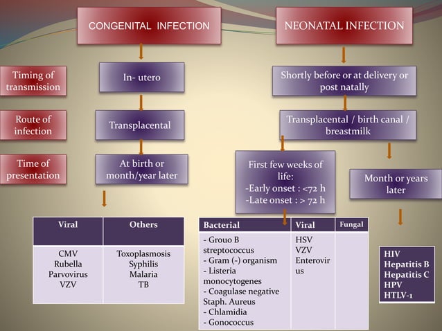Infection in neonate | PPTX