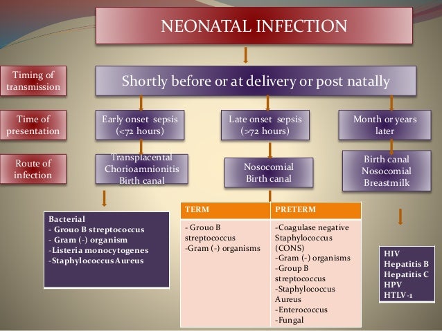 Infection in neonate