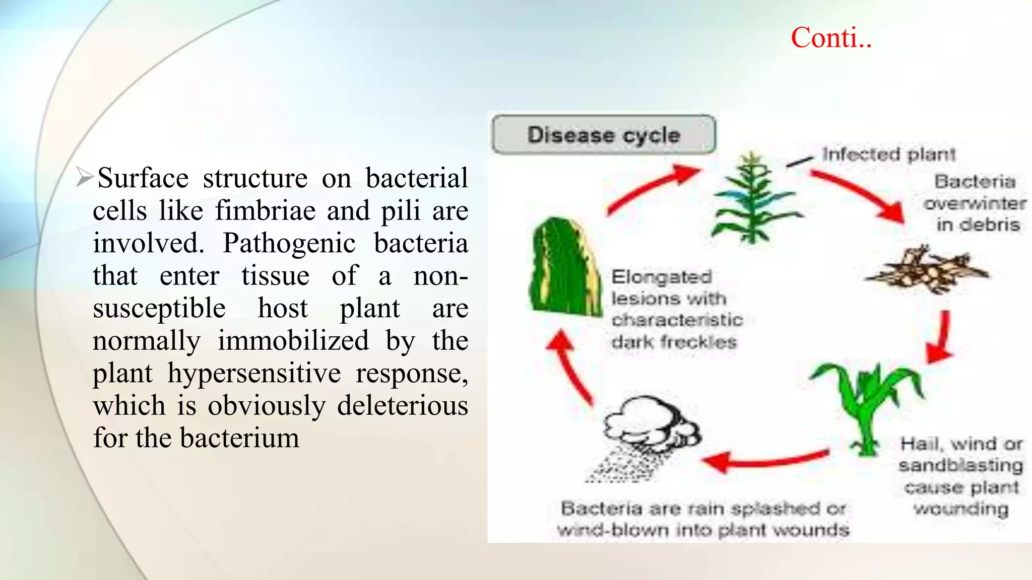 infectioninplantbybacteria-170919192918.pdf