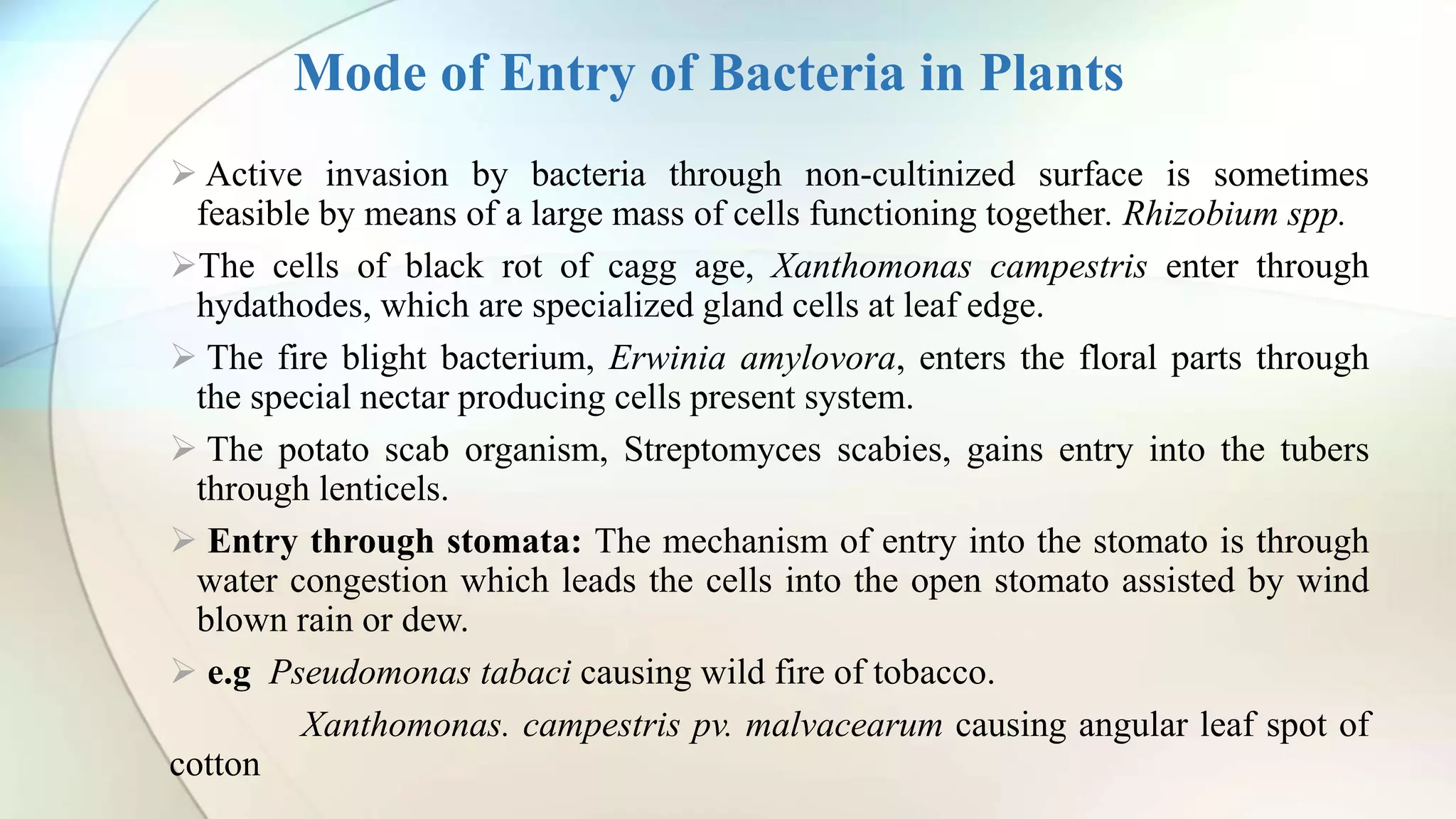 Infection in plant by bacteria | PPTX