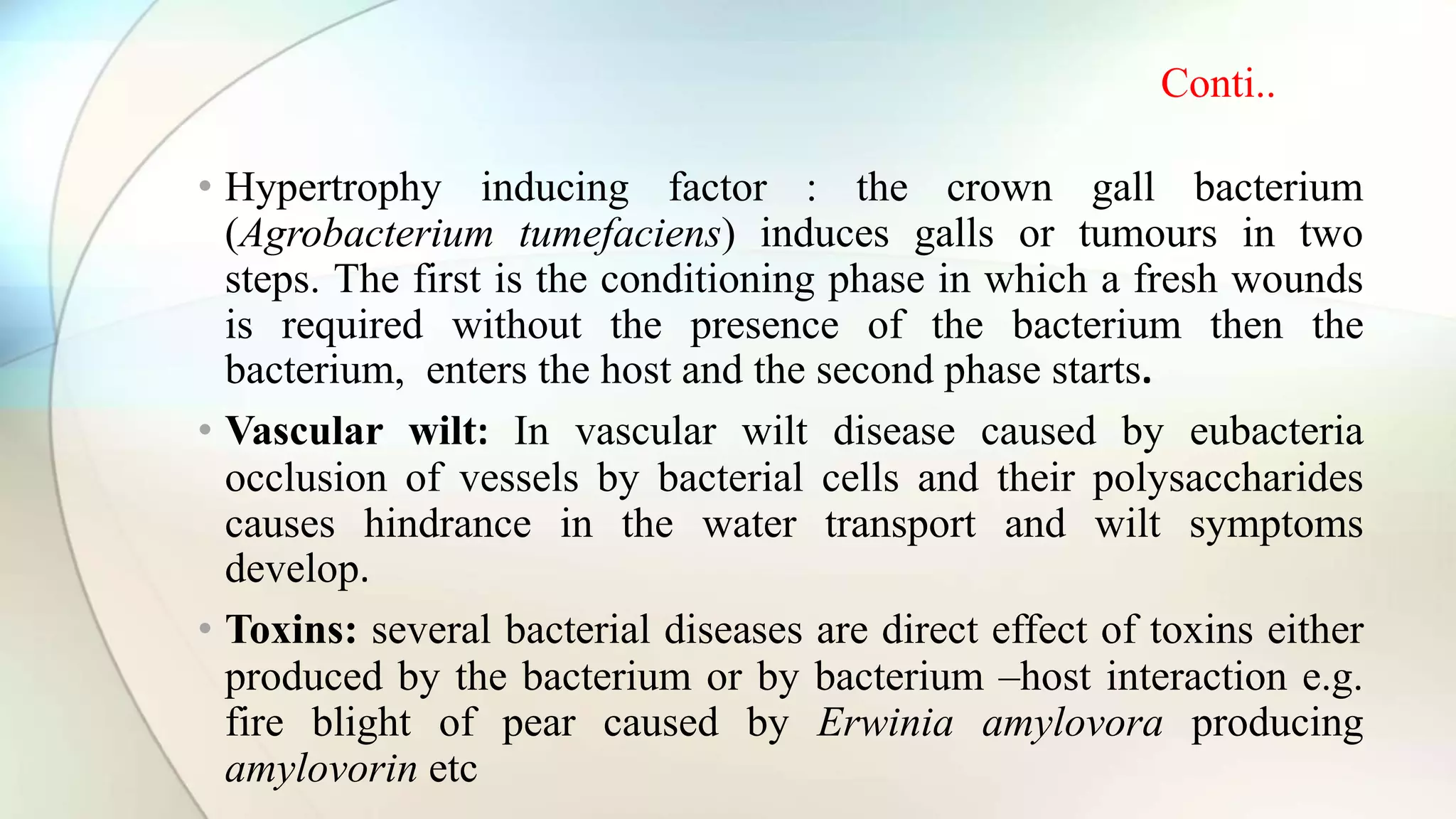 Infection in plant by bacteria | PPTX