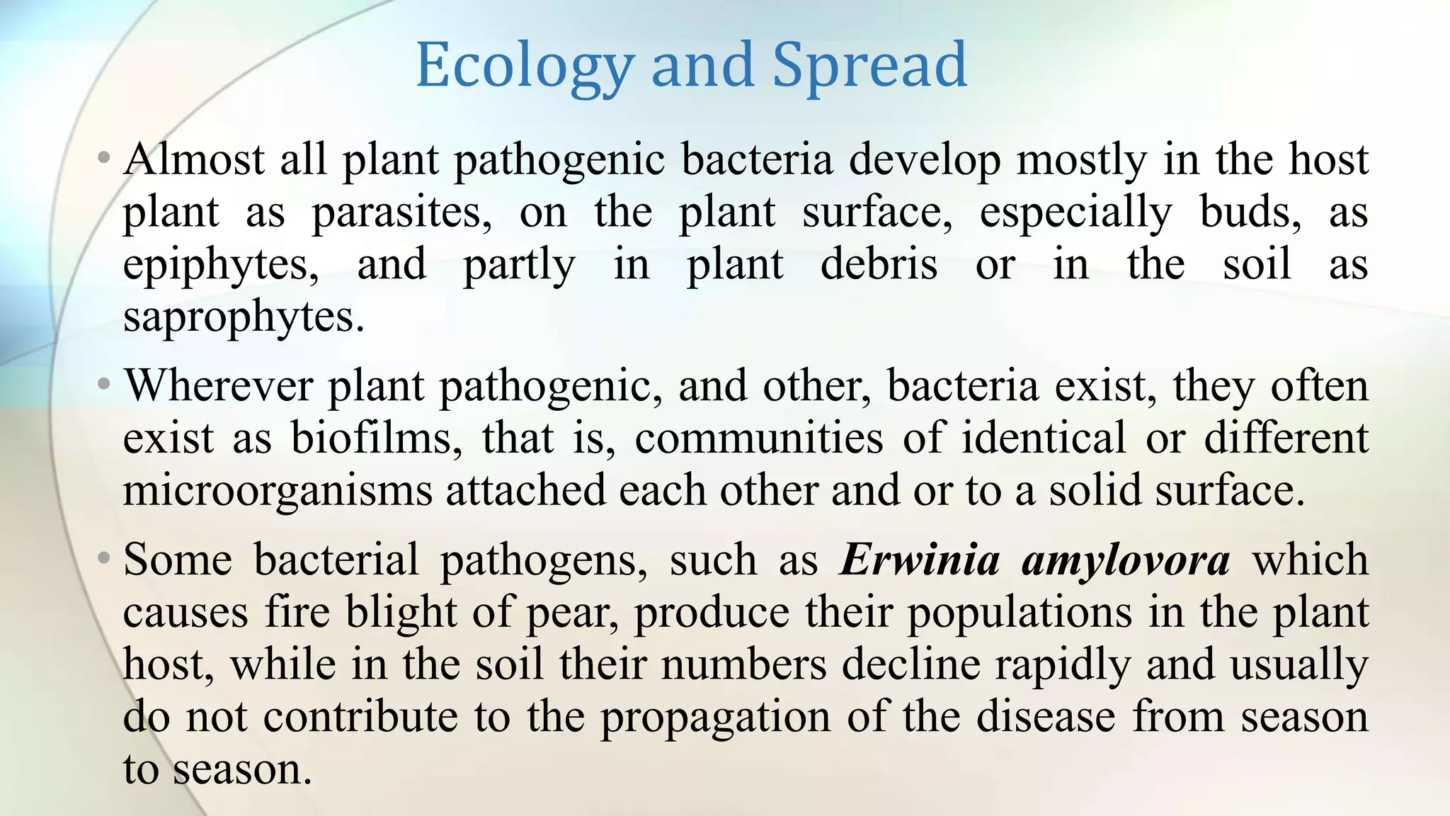 Infection in plant by bacteria | PPTX