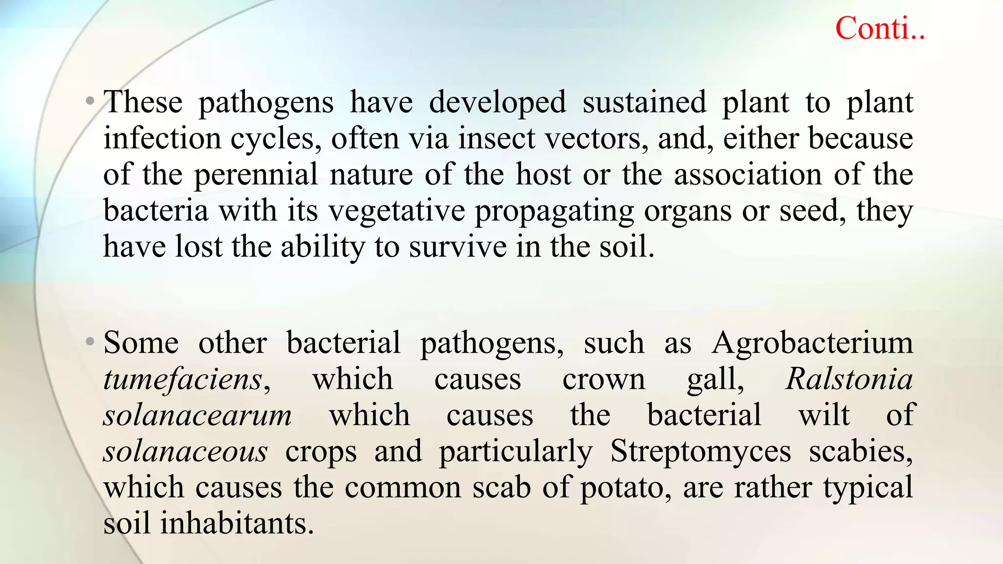 Infection in plant by bacteria | PPTX