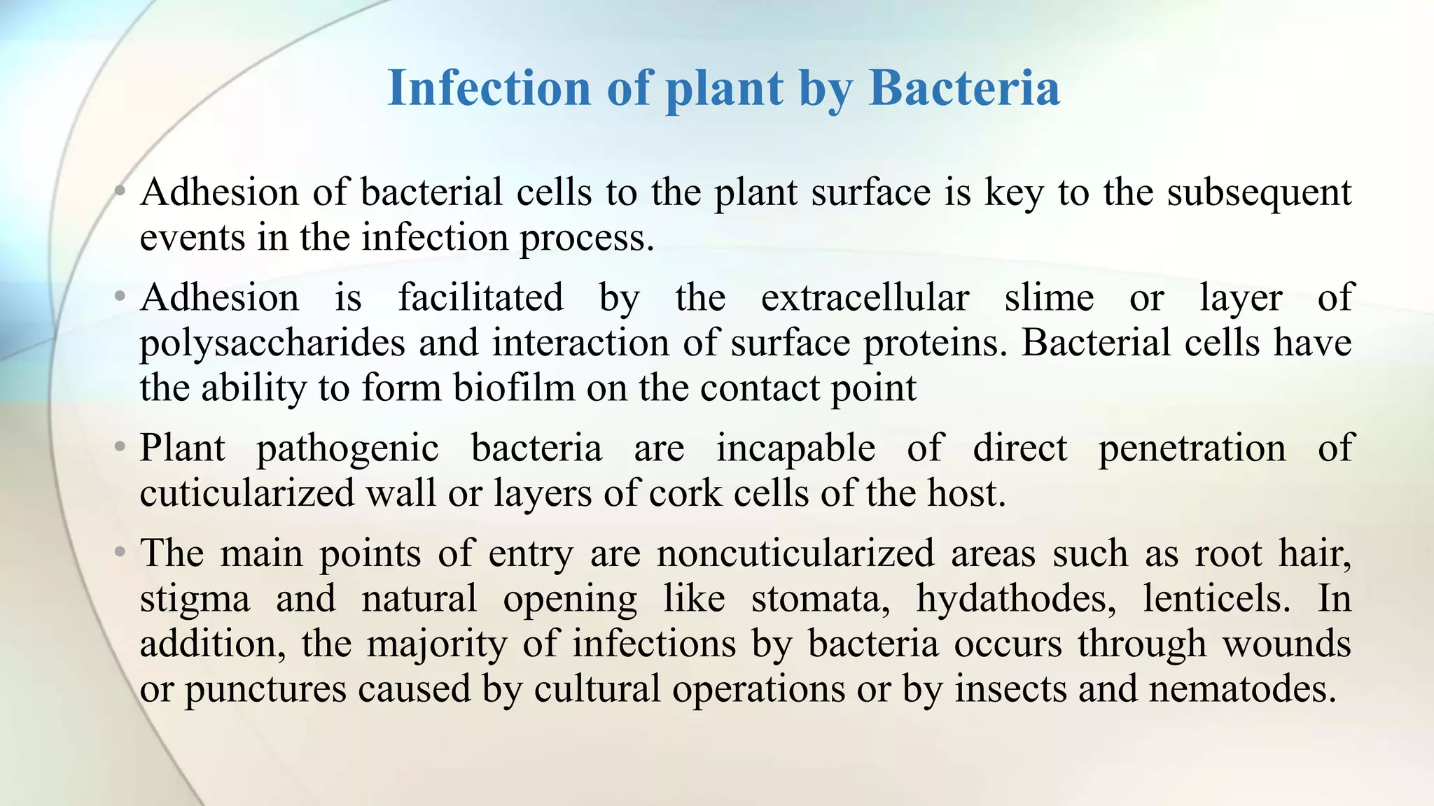 Infection in plant by bacteria | PPTX